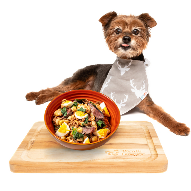 What is Gently-Cooked Dog Food & Why it's Good for Your Dog - Tom&Sawyer