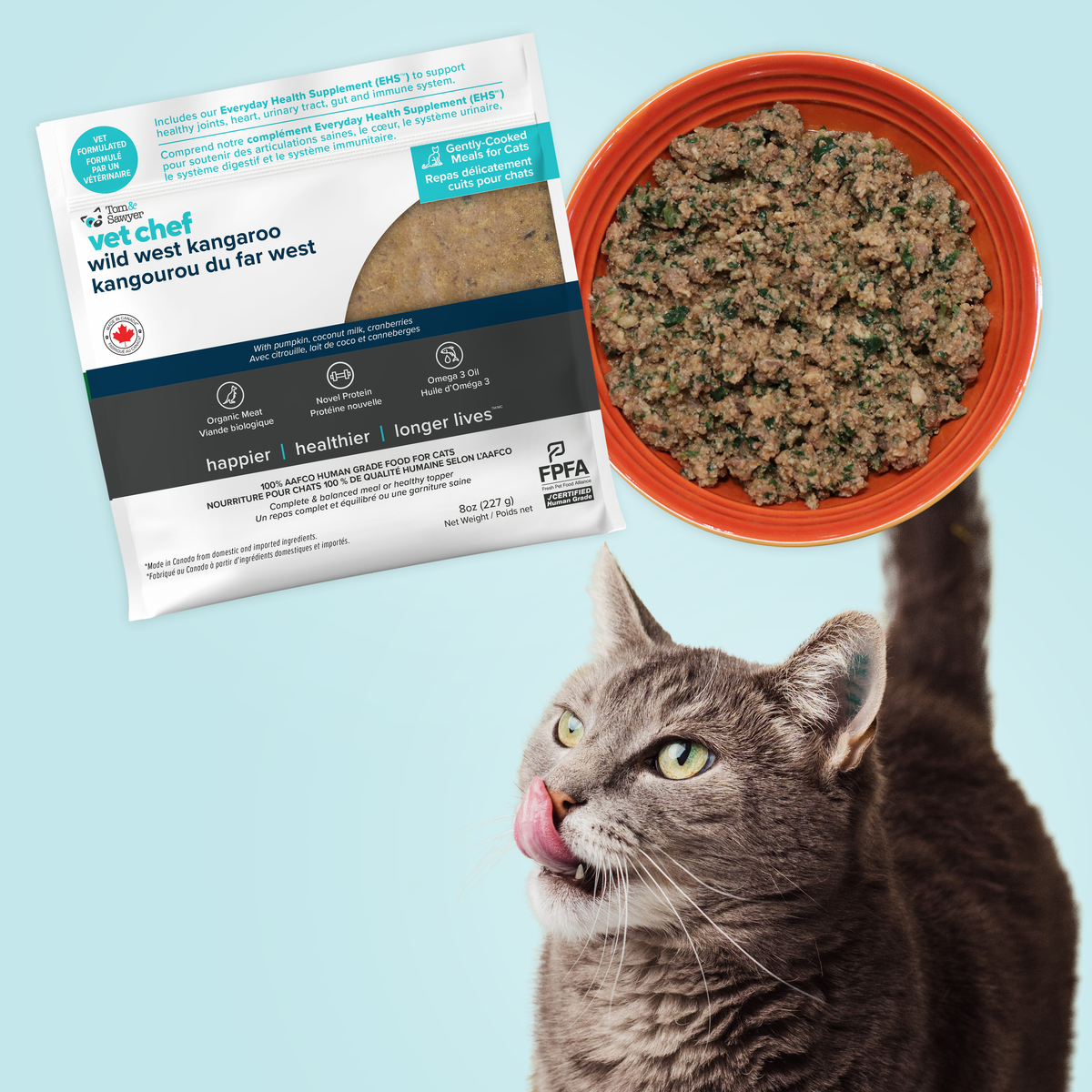Novel Protein LID Kangaroo Cat Meal Trial Box – Tom&Sawyer