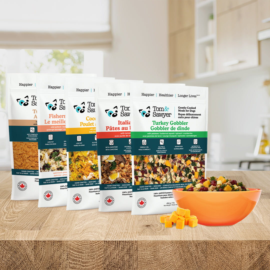 Sampler Box for Picky Eaters – Tom&Sawyer